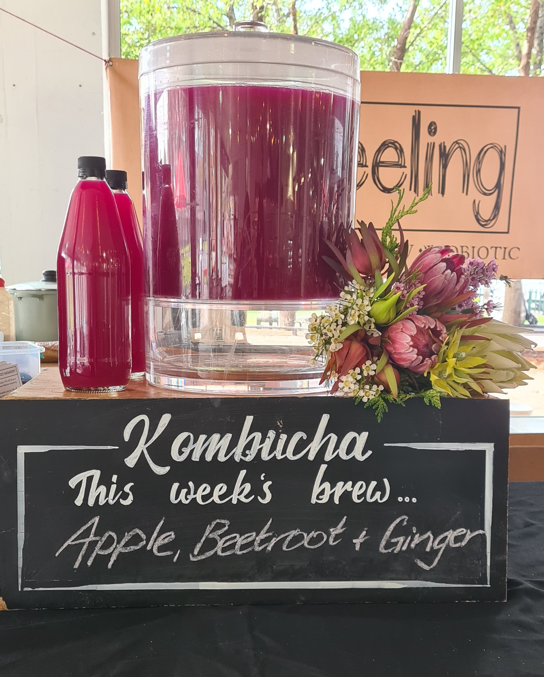 Seasonal Kombucha – Gut Feeling